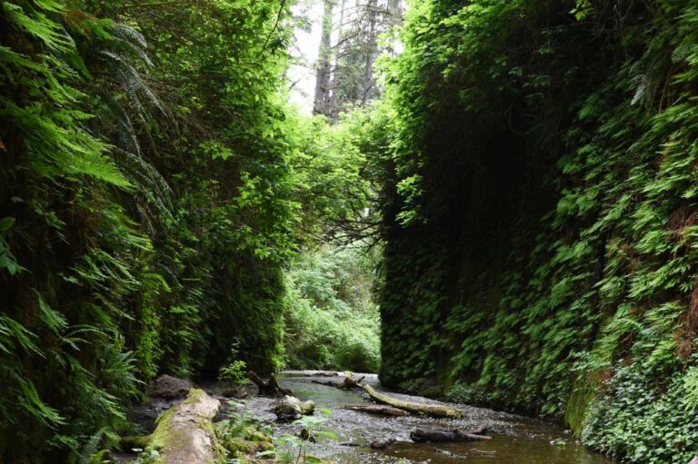 Ultimate California Bucket List: 75 Things You Must Do & See - Go ...