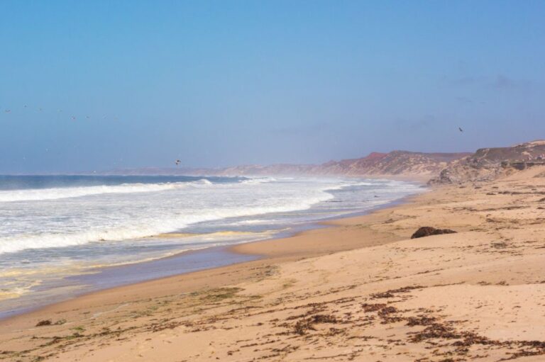 16 Best Beaches in Monterey County, California - Go Travel California