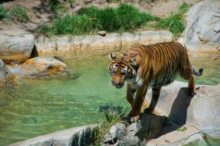 30 Fun Things To Do In Los Angeles - Go Travel California