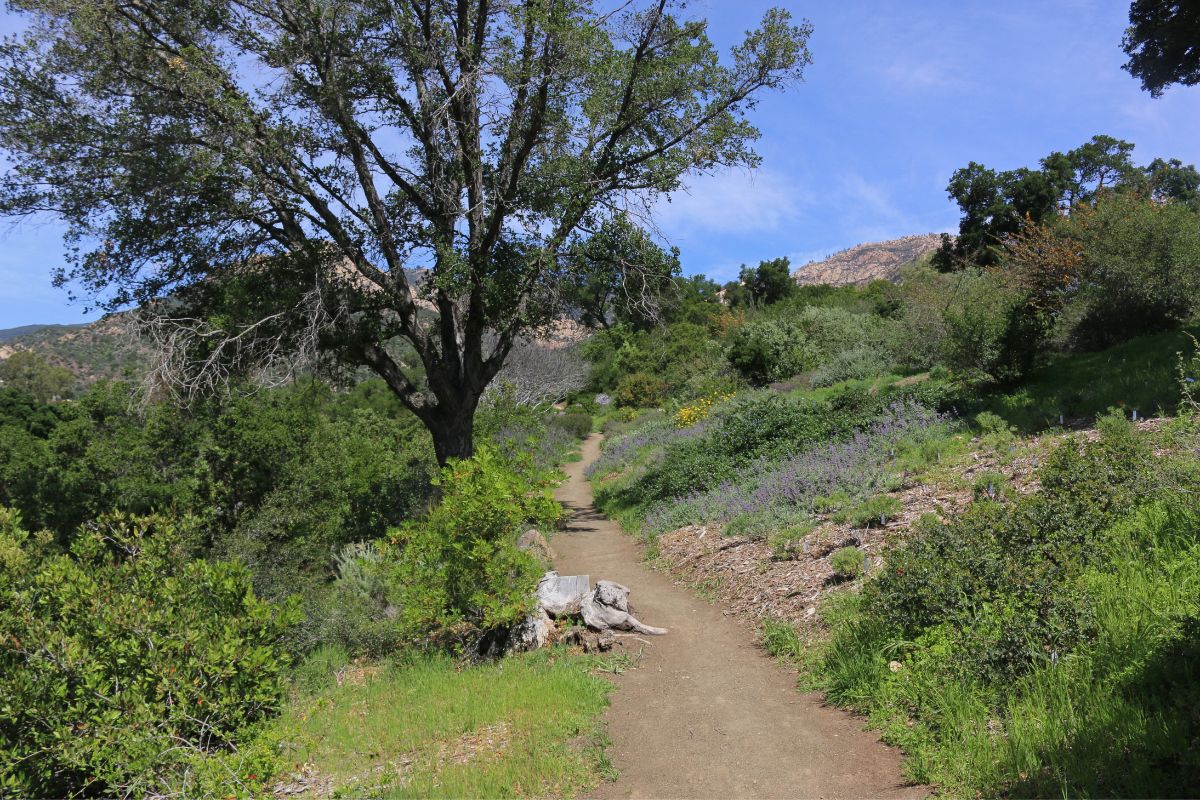 10 Great Santa Barbara Hiking Trails To Tackle - Go Travel California