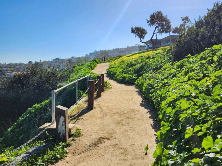 10 Easy Hikes In San Diego Go Travel California