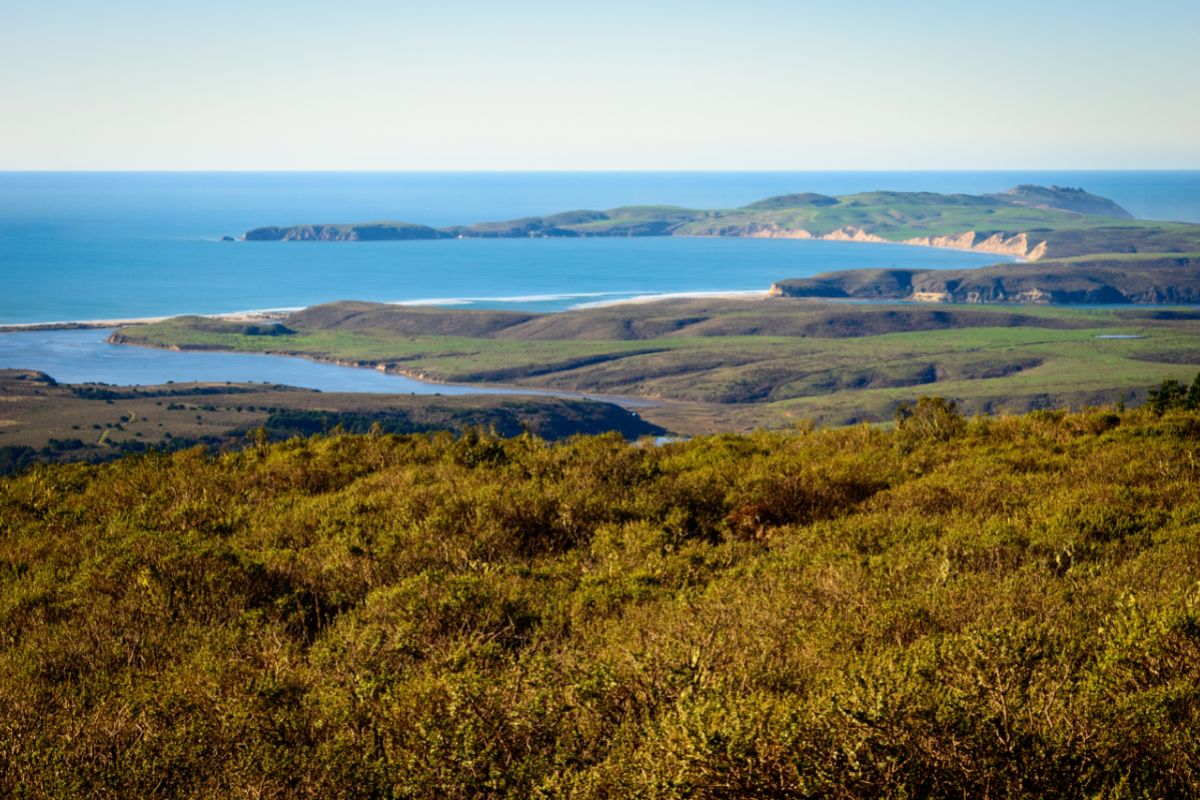 17 Things To Do In Point Reyes National Seashore - Go Travel California