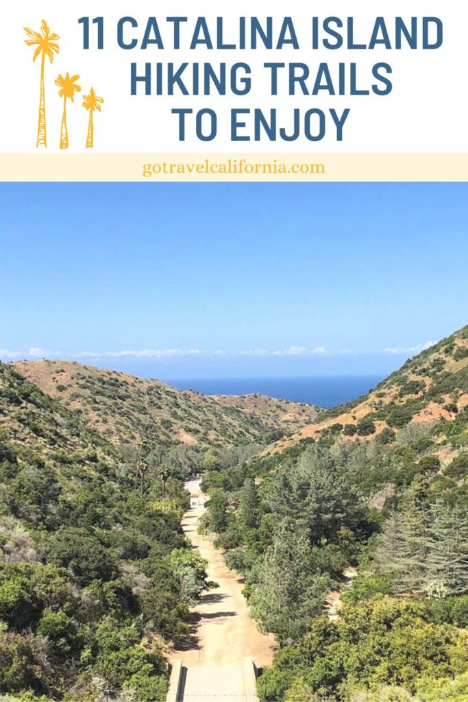 11 Catalina Island Hiking Trails to Enjoy - Go Travel California