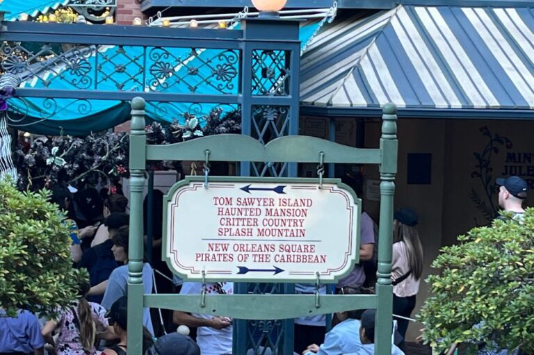 40 Essential Tips For Disneyland First Timers - Go Travel California