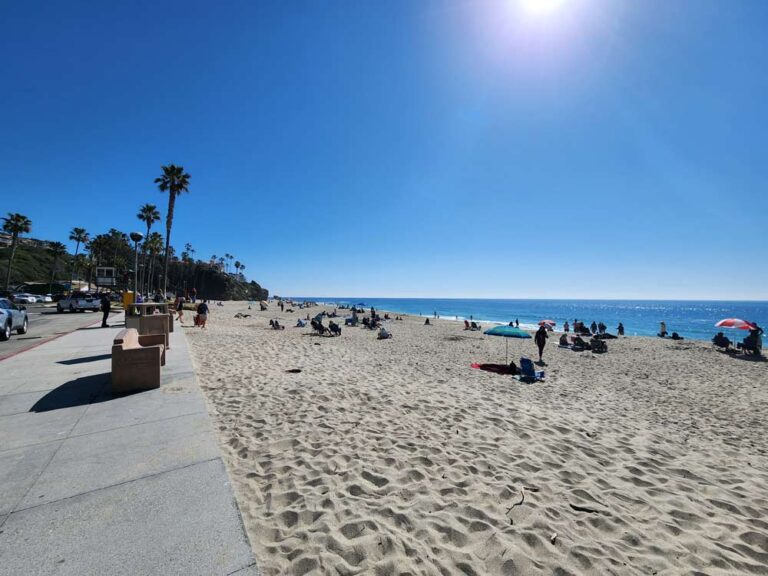 5 Best Places to See Laguna Beach Tide Pools – Go Travel California