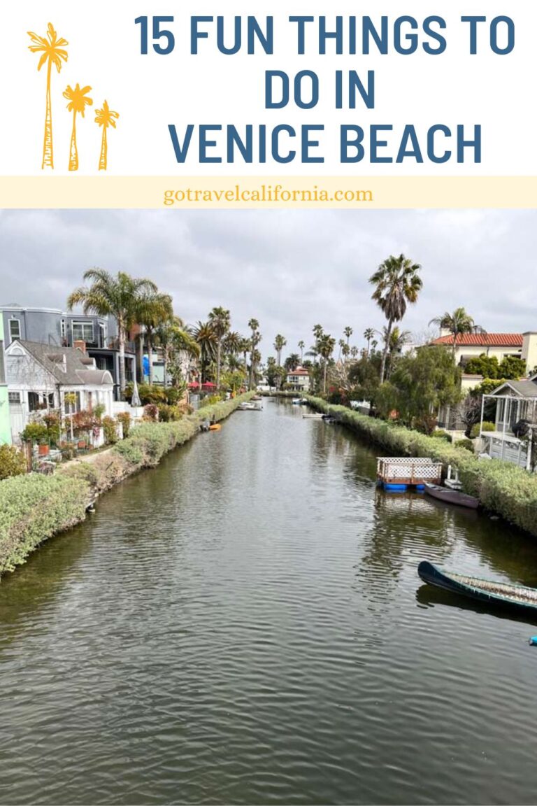 15 Fun Things to Do in Venice Beach - Go Travel California