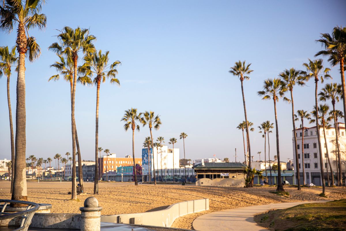 15 Fun Things to Do in Venice Beach - Go Travel California