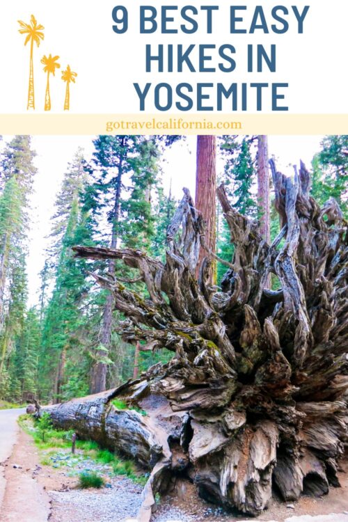 9 Best Easy Hikes in Yosemite - Go Travel California
