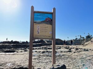 Where to Find the Best California Tide Pools - Go Travel California