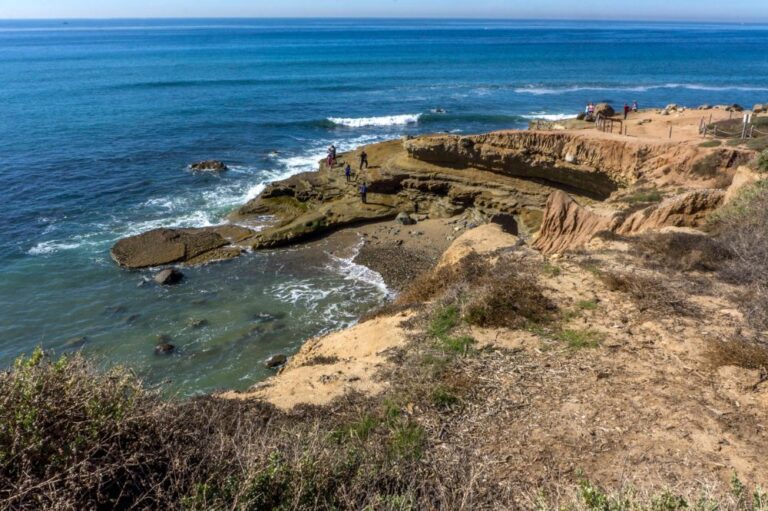 Where to Find the Best California Tide Pools - Go Travel California