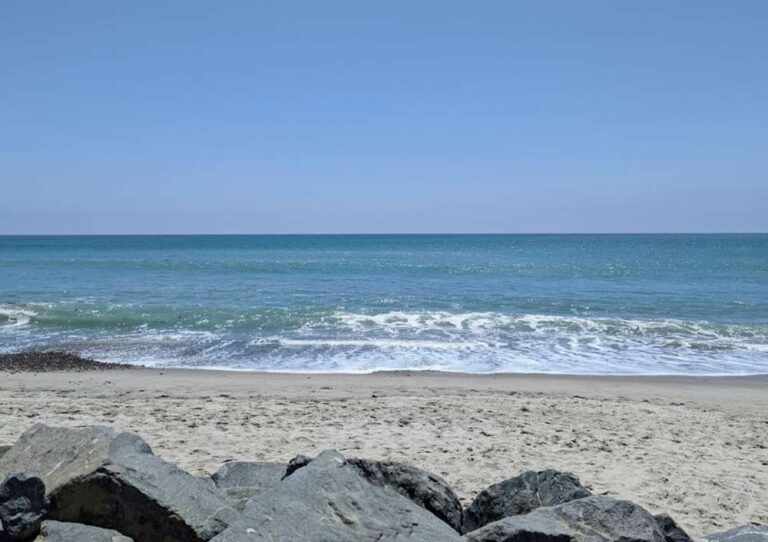 14 Epic Things to Do in Dana Point - Go Travel California