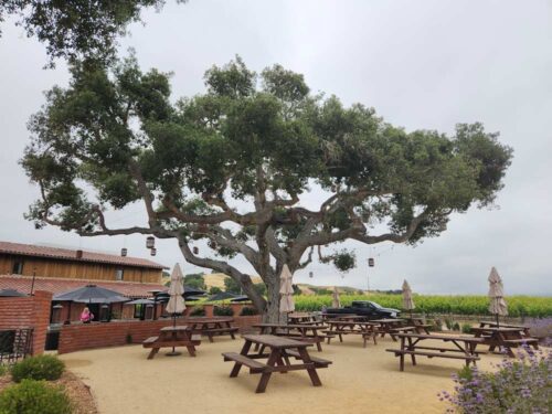 16 Wineries in Solvang for Wine Enthusiasts - Go Travel California