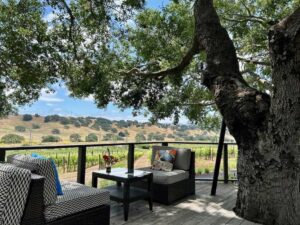 16 Wineries in Solvang for Wine Enthusiasts - Go Travel California