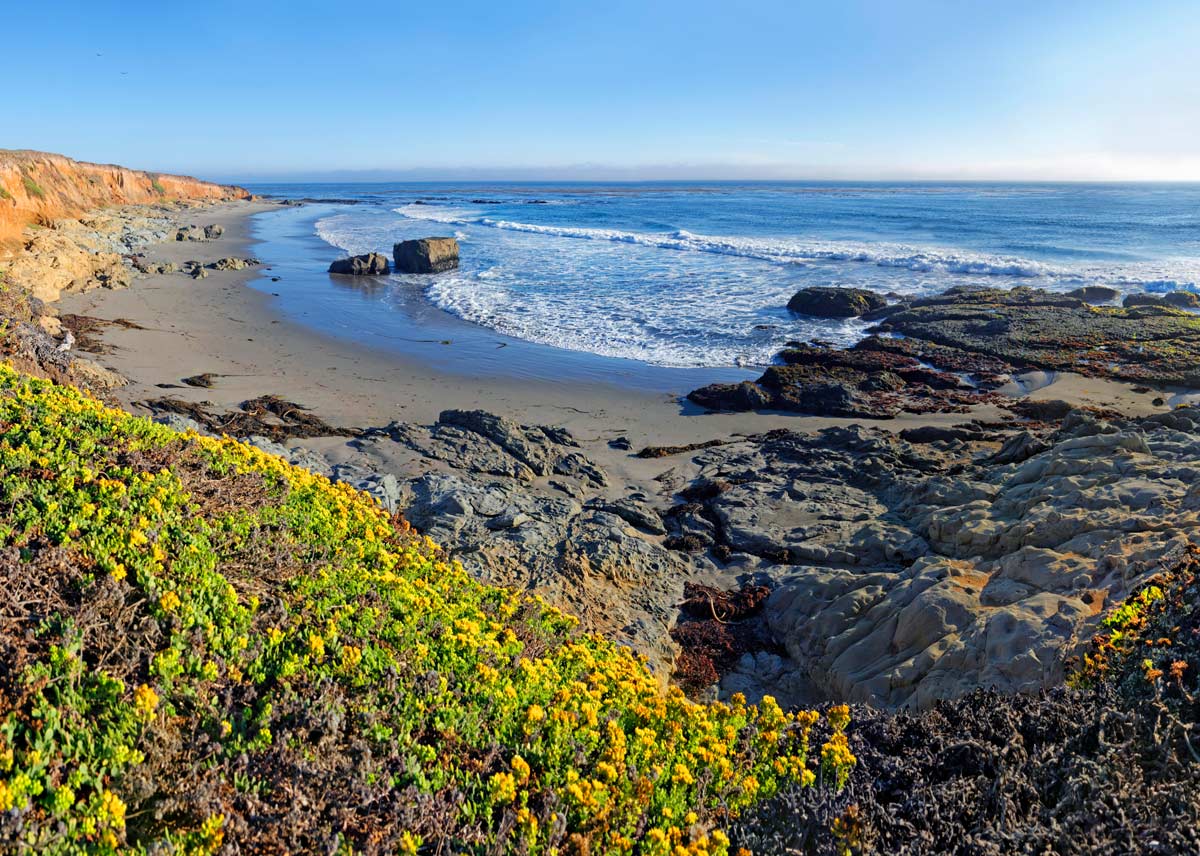 When is the Best Time to Visit Cambria? - Go Travel California