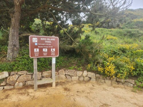 6 Stunning Hikes in Point Lobos State Natural Reserve - Go Travel ...