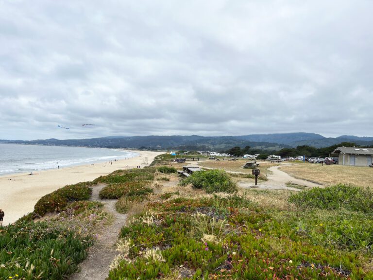 Best Beaches at Half Moon Bay: Top Coastal Spots - Go Travel California