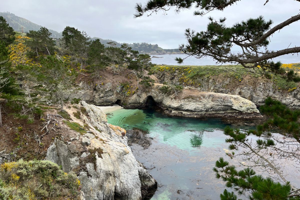 6 Stunning Hikes in Point Lobos State Natural Reserve - Go Travel ...
