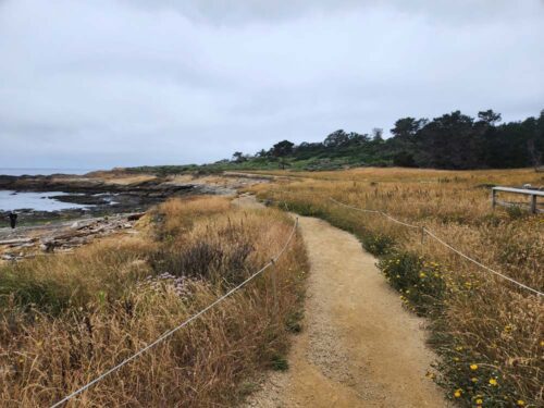 6 Stunning Hikes in Point Lobos State Natural Reserve - Go Travel ...