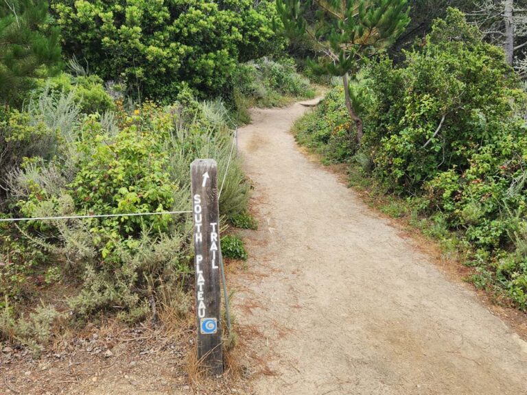 6 Stunning Hikes in Point Lobos State Natural Reserve - Go Travel ...