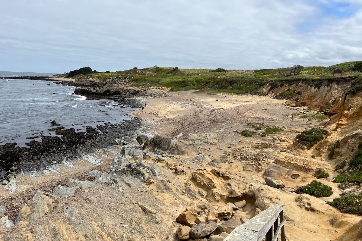 10 Great Things to See and Do in Pescadero - Go Travel California