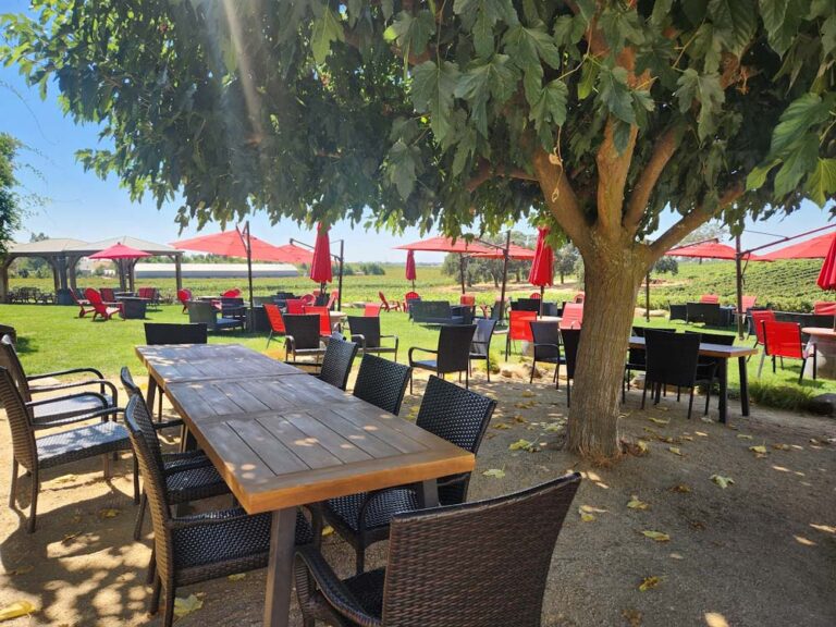 13 Best Lodi Wineries to Visit [+a Bonus] - Go Travel California