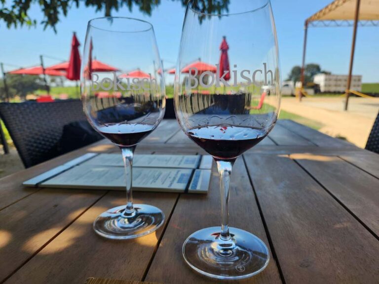 13 Best Lodi Wineries to Visit [+a Bonus] - Go Travel California
