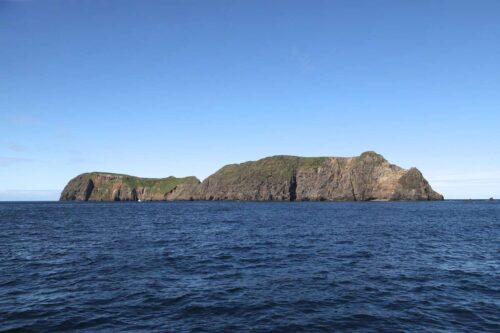 Anacapa Island Day Trip Guide: Channel Islands National Park - Go ...
