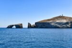 Anacapa Island Day Trip Guide: Channel Islands National Park - Go ...